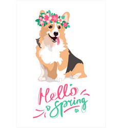 Happy corgi dog play bone poster funny Royalty Free Vector