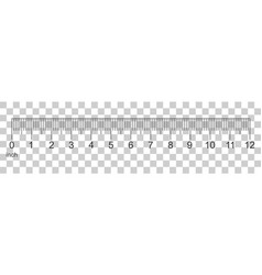 Metric imperial rulers centimeter and inch Vector Image