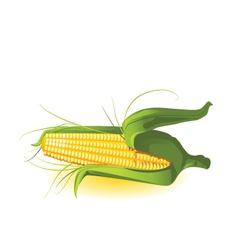 Cute cartoon corn grain isolated on white Vector Image