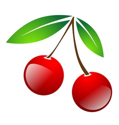 Cherry realistic fruit icons Royalty Free Vector Image