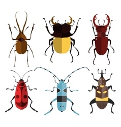 Insect flat icons set Royalty Free Vector Image