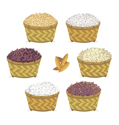 Rice2 Royalty Free Vector Image - VectorStock