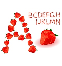 Ripe fresh strawberry english alphabet bright red Vector Image