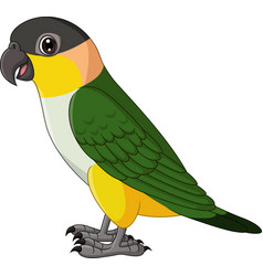 Cartoon cute peacock on a branch Royalty Free Vector Image