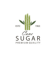 Sugar production infographics Royalty Free Vector Image