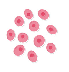 Cell structure normal and cancer Royalty Free Vector Image