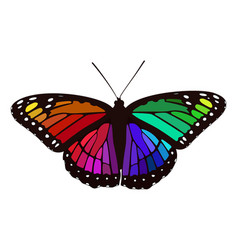 Monarch butterfly hand drawn Royalty Free Vector Image