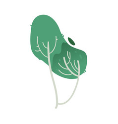 Lungs with foliage Royalty Free Vector Image - VectorStock