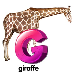 A letter r for rocket Royalty Free Vector Image