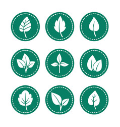 Set of premium labels Royalty Free Vector Image