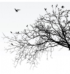 Birds flying from the tree Royalty Free Vector Image