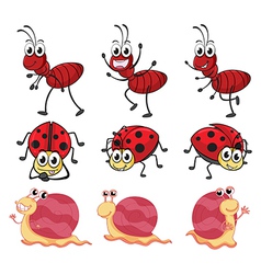 Ladybug on bike Royalty Free Vector Image - VectorStock