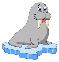 Cartoon walrus Royalty Free Vector Image - VectorStock