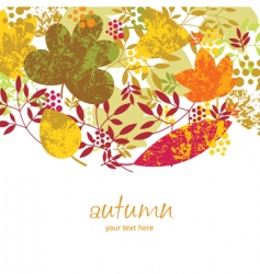 Autumn leaf fall Royalty Free Vector Image - VectorStock