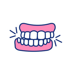 Human dentition teeth Royalty Free Vector Image