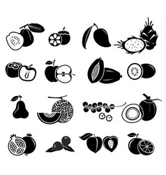 Tamarind icon set Royalty Free Vector Image - VectorStock
