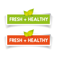 Fresh local fruits label template abstract Vector Image