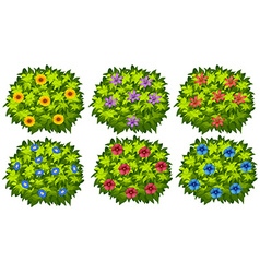 Green bushes and tree crown with white flowers Vector Image