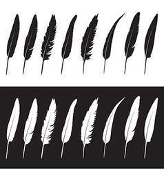 Group of feather on white background Royalty Free Vector