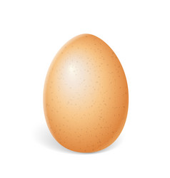 Raw eggs Royalty Free Vector Image - VectorStock