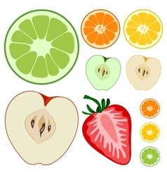 Realistic cut fruits isolated on white background Vector Image