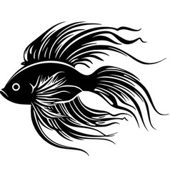 Small beta fish with big and long tail Royalty Free Vector