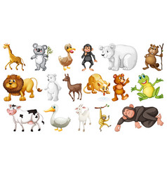 Big collection of wild animals Royalty Free Vector Image