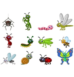 Collection of cartoon insects in the garden Vector Image