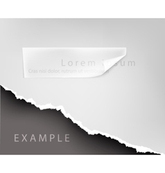 Hole torn in ripped paper Royalty Free Vector Image