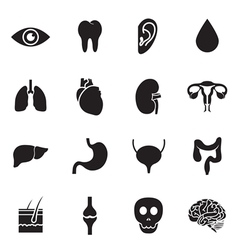 Human body systems Royalty Free Vector Image - VectorStock