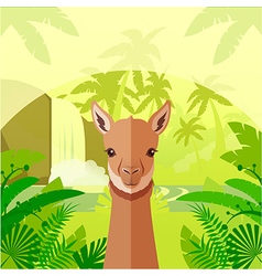 Vicuna cute cartoon animal Royalty Free Vector Image