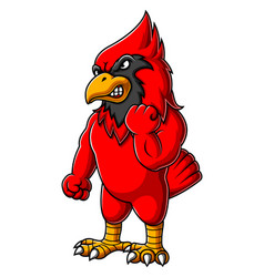 Cardinal Royalty Free Vector Image - VectorStock