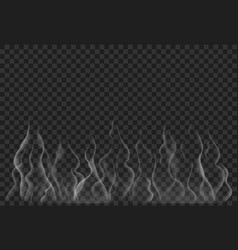 Hot food steam on transparent background Vector Image