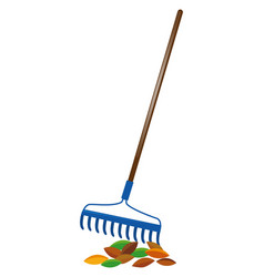 Different shapes of leaves Royalty Free Vector Image