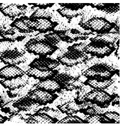 Snake python skin texture seamless pattern black Vector Image
