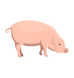 Pig farm animal Royalty Free Vector Image - VectorStock