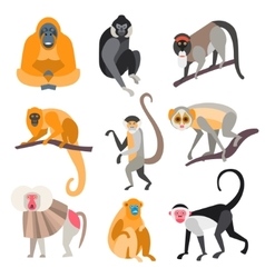 Gibbon Royalty Free Vector Image - VectorStock