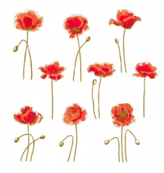 Parts of the poppy flower Royalty Free Vector Image