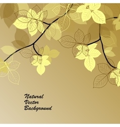Nature background with yellow leaves Royalty Free Vector