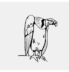 Stencil hawk Royalty Free Vector Image - VectorStock