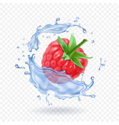 Forest mixed berries juice splash realistic Vector Image