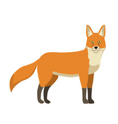 Fox Royalty Free Vector Image - VectorStock