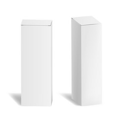 Realistic 3d detailed white cardboard retail Vector Image