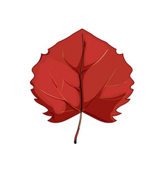 Red maple leaf cartoon Royalty Free Vector Image