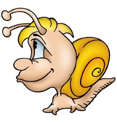 Shell Royalty Free Vector Image - VectorStock