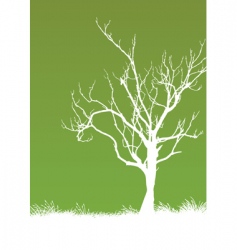 Tree Royalty Free Vector Image - VectorStock