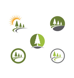 Cedar tree logo template Royalty Free Vector Image