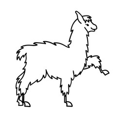 Vicuna cute cartoon animal Royalty Free Vector Image