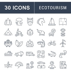 Eco travel and tourism banner template design Vector Image