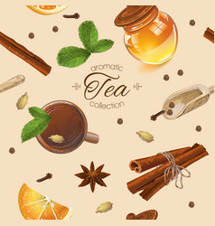 Shiso perilla frutescens spice and medicinal Vector Image